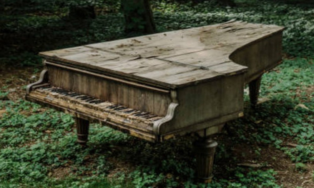 LUDWIG – Charlie Barber